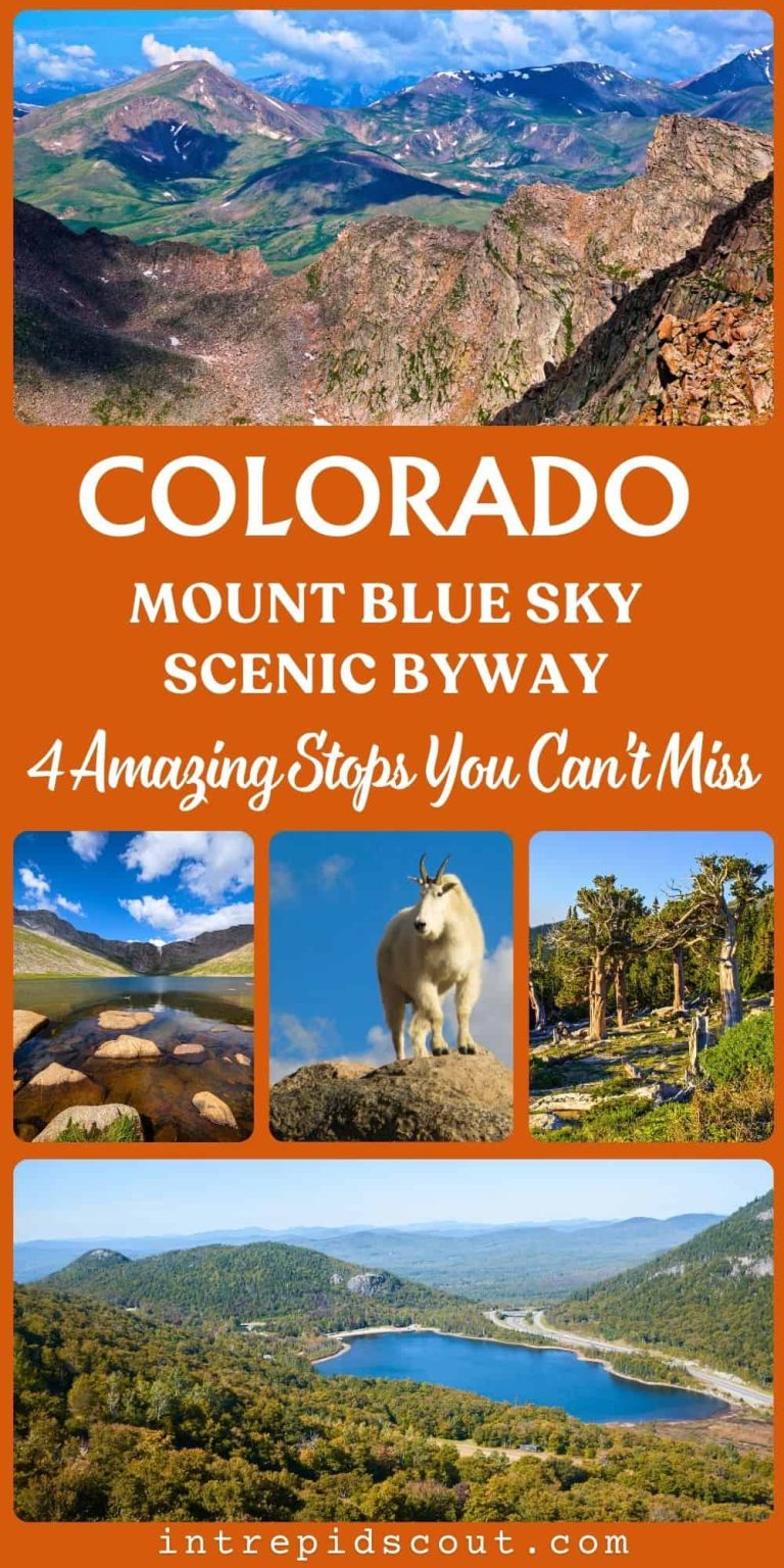 4 Best Stops on Mount Blue Sky Scenic Byway (Best Hikes, Tips and Maps ...